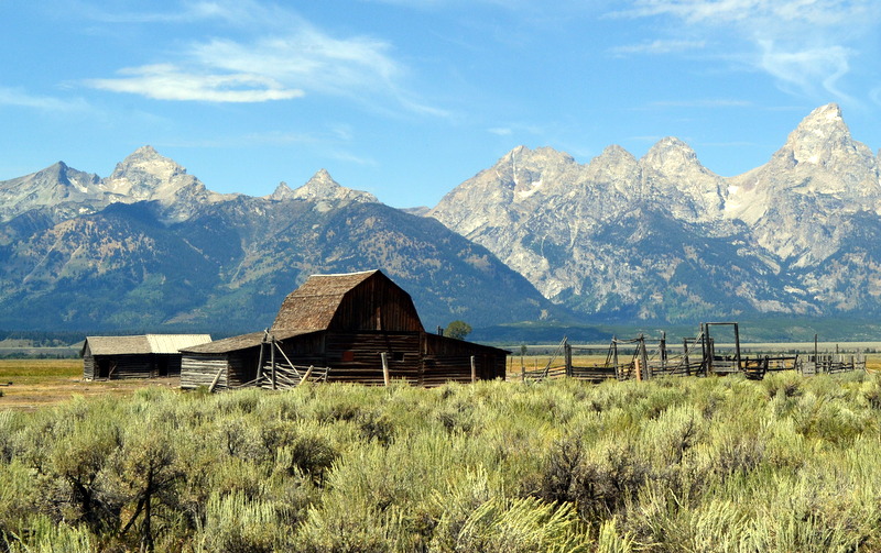 Without a vision . . . Without a leader . . . | Leadership Voices